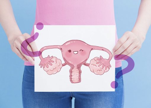 ¿Qué es el cérvix y cómo podemos sentirlo? - Sileu cup copas ...